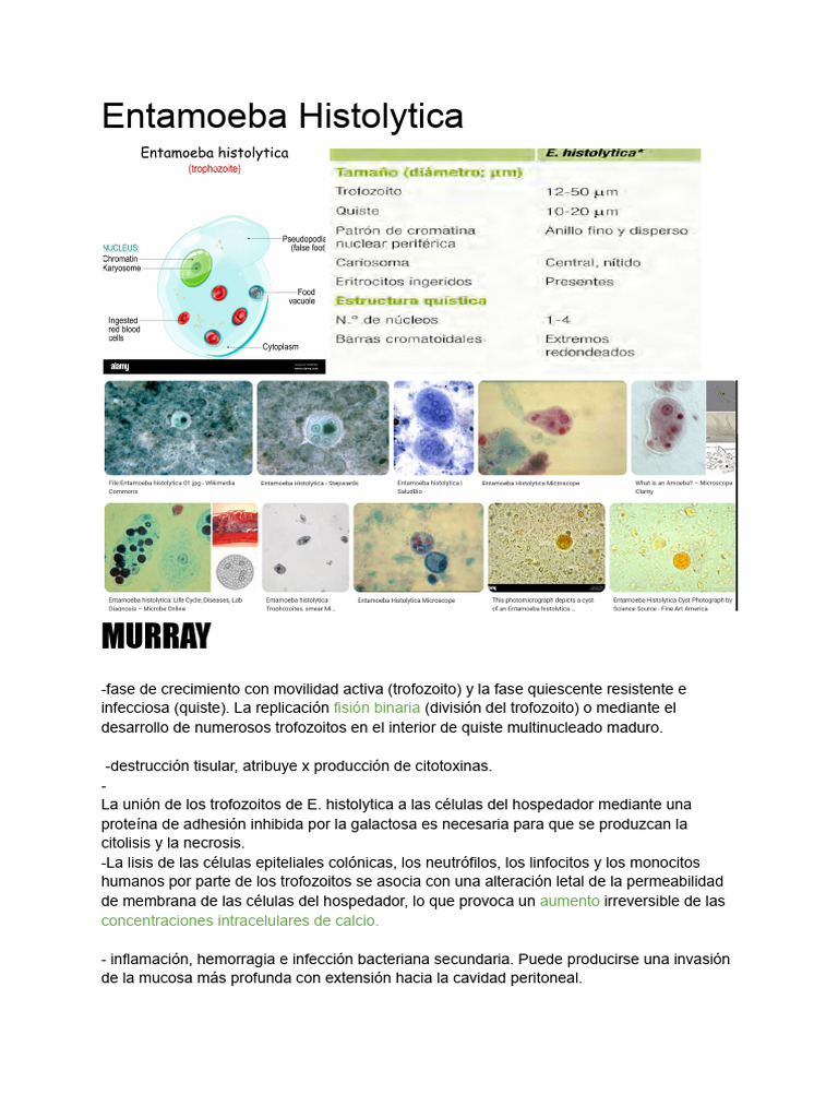 Entamoeba Histolytica | PDF | Especialidades Medicas | Medicina CLINICA