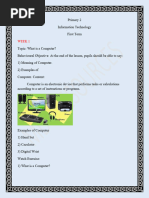 Computer Basics for Kids: Level 1 Guide | PDF | Computer Network | Internet