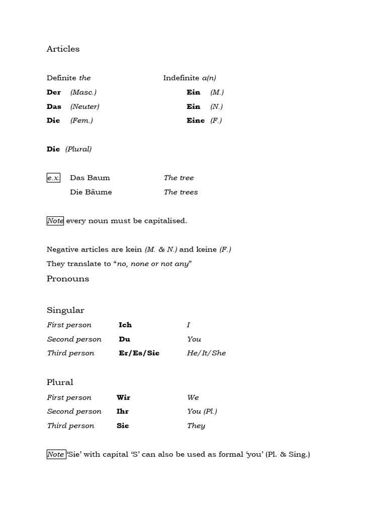 German Grammar Basics: Articles & Pronouns | PDF | Grammatical Number ...