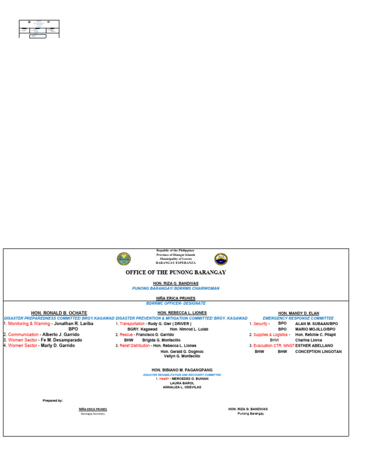 Bdrrmc Pdf Emergency Management Emergency Services