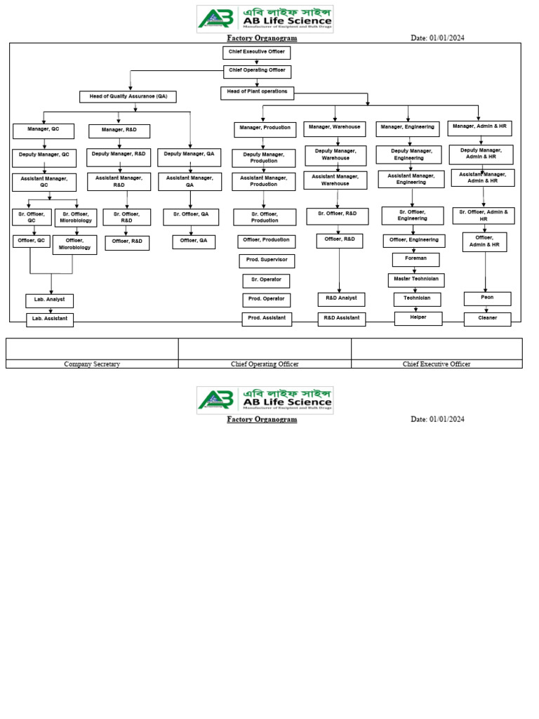 Organogram | PDF | Production And Manufacturing