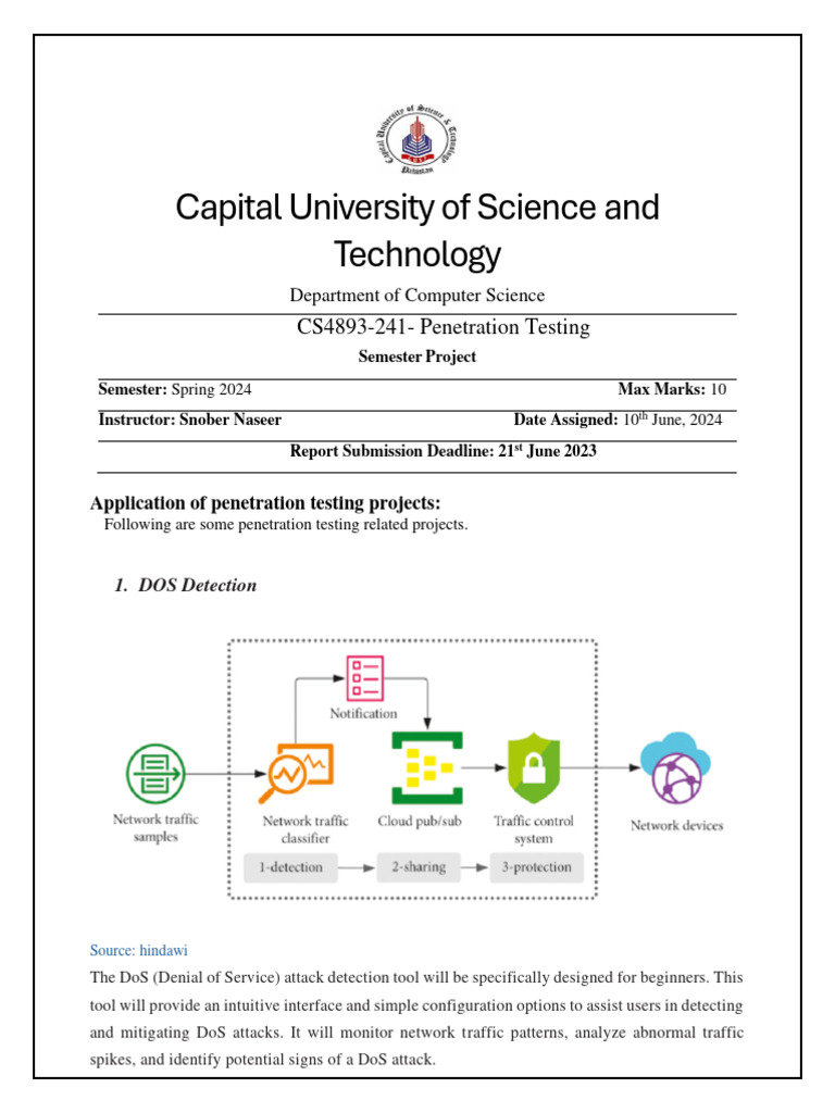 Pentesting Project | PDF | Ransomware | Security