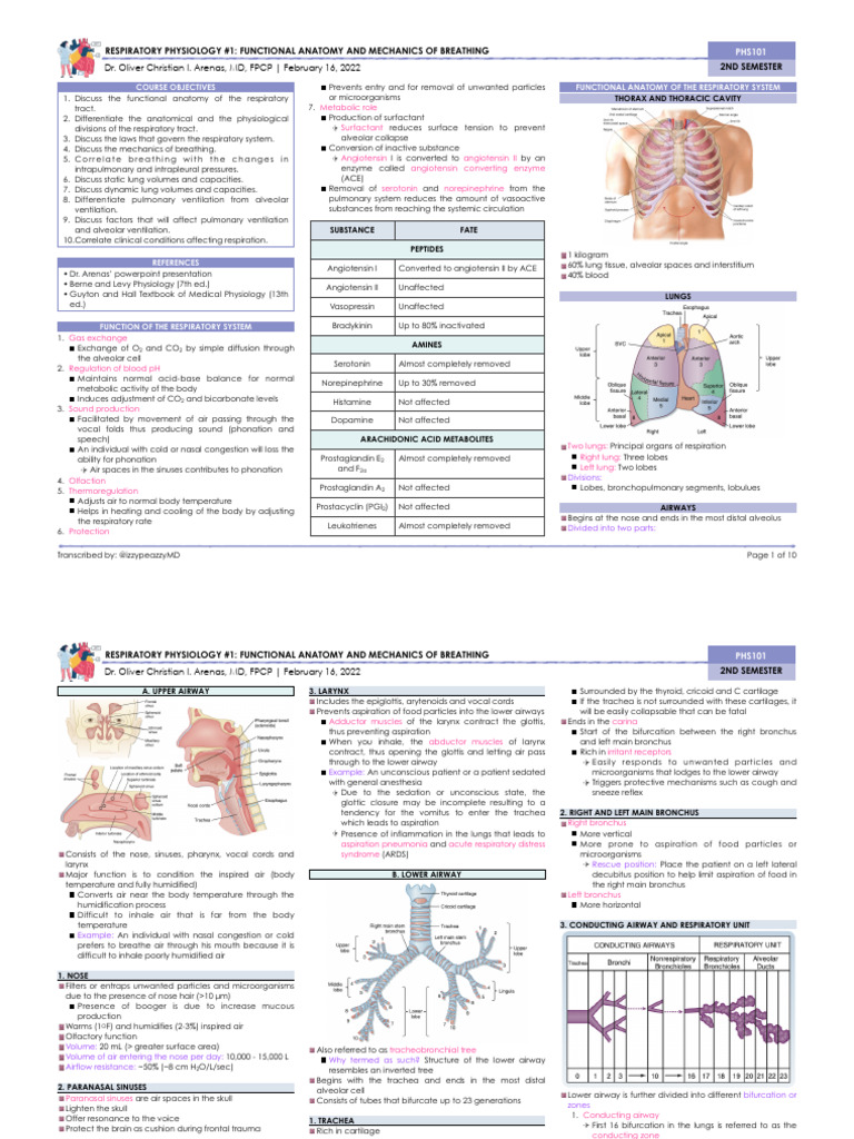 Respi #1 - Functional Anatomy and Mechanics of Breathing | PDF | Respiratory Tract | Lung