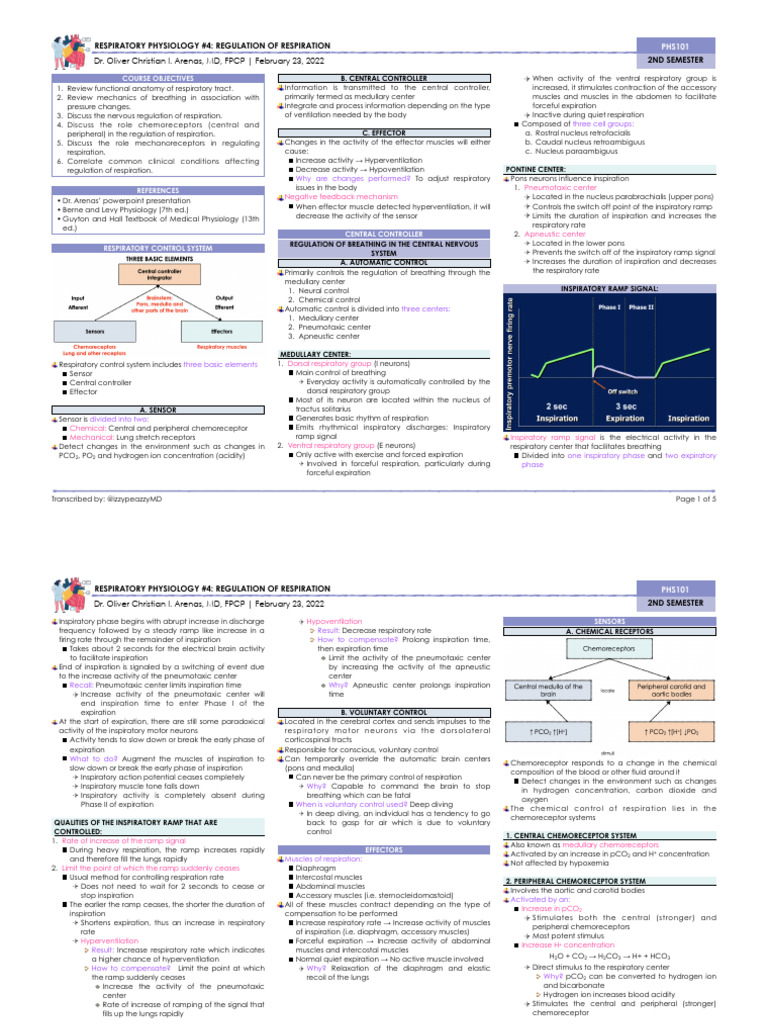 Respi #4 - Regulation of Respiration | PDF | Breathing | Exhalation