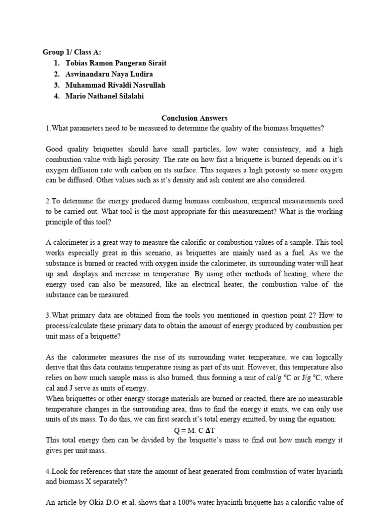 Group1 - Case Study Document | PDF | Combustion | Chemistry