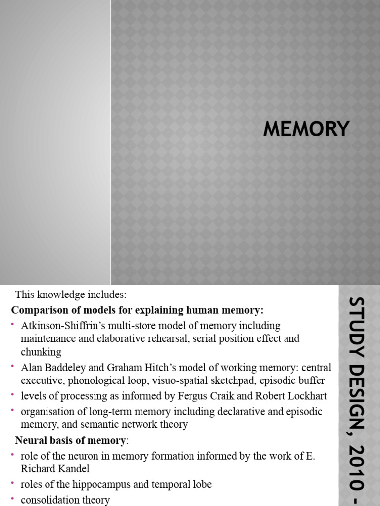Memory 2 | PDF | Memory | Long Term Memory