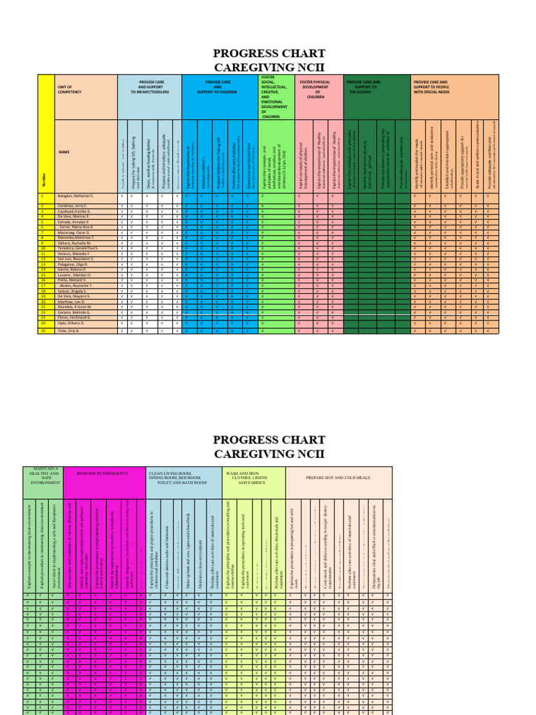 11 Progress-Chart | PDF | Health Care | Health Sciences