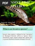 List of Threatened Fishes Reported From Philippines | PDF | Sharks | Fish