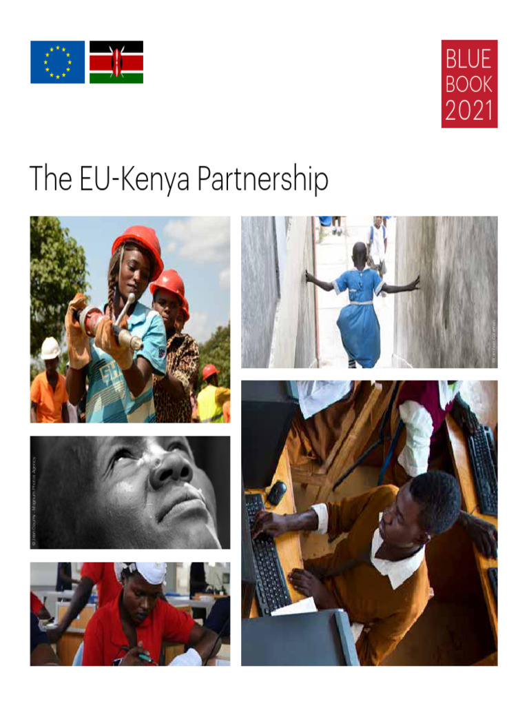 Blue Book 2021 | PDF | European Union | Sustainability