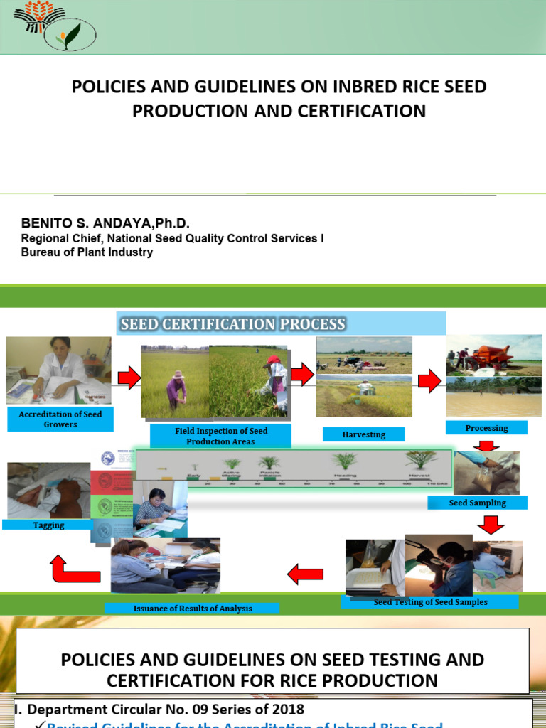 Policies and Guidelines On Seed Production and Certification of Inbred ...