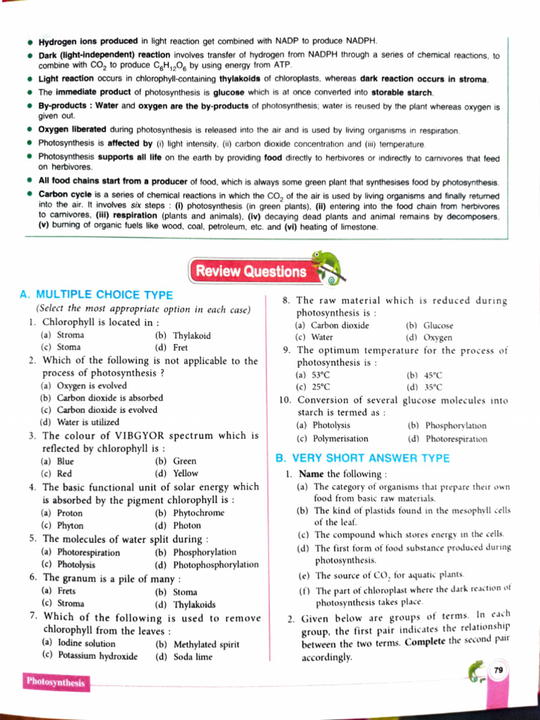Photosynthesis Exercise Class 10 Conscice | PDF | Photosynthesis ...