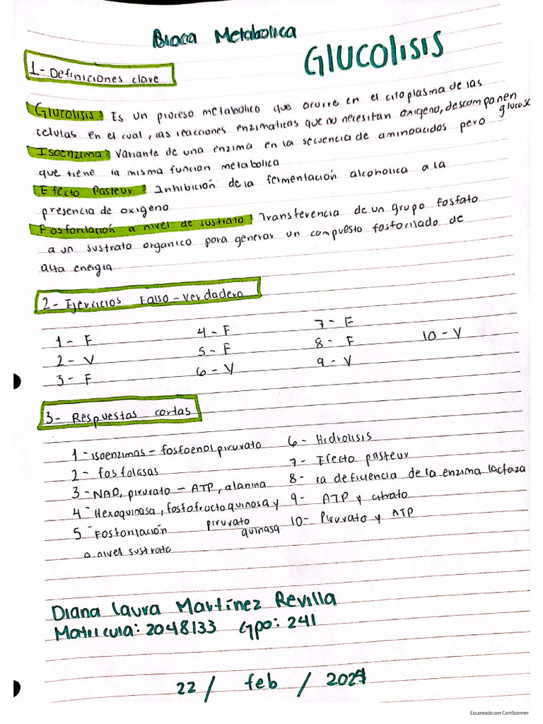 Martinez Revilla EV2 | PDF