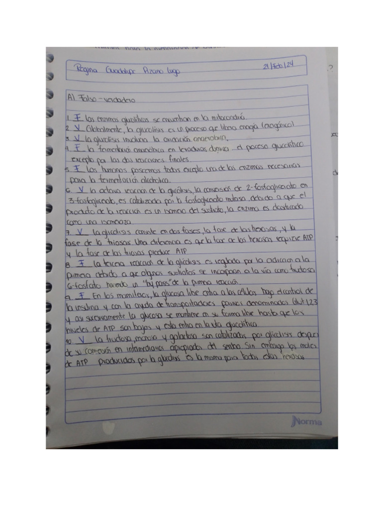Pizano Lugo - Ev2 | PDF