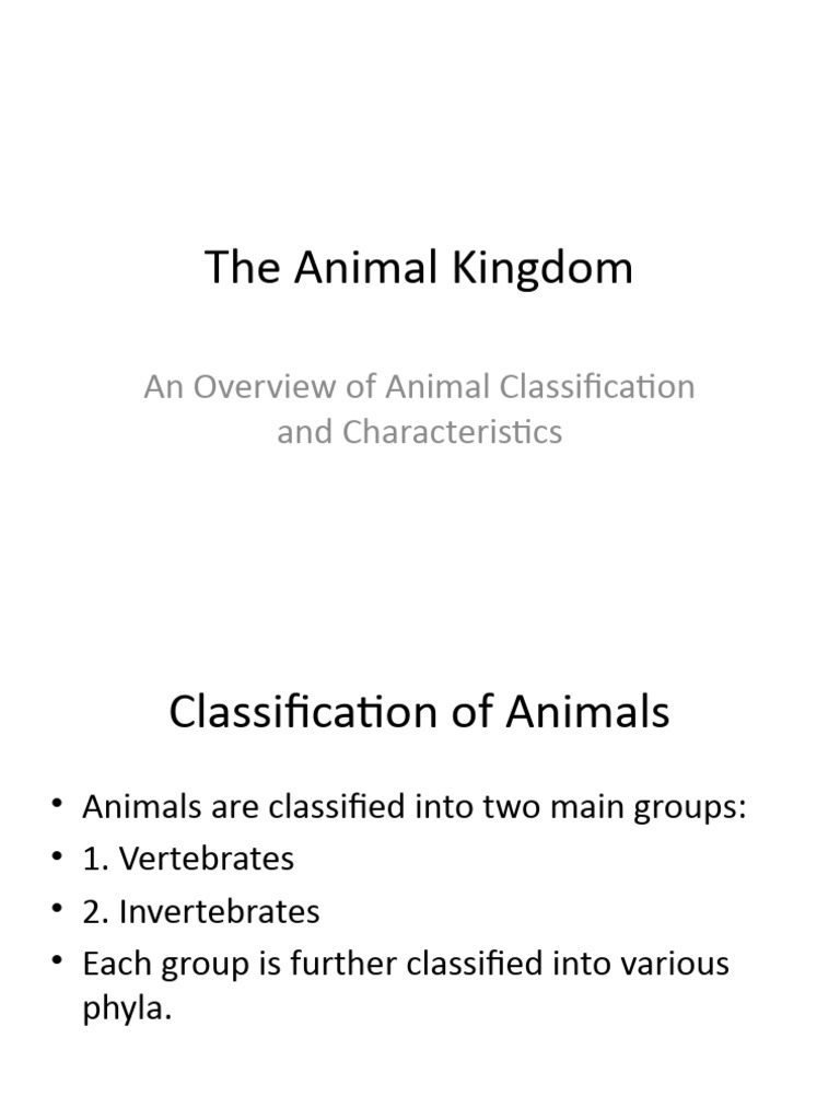Animal Classification Guide | PDF | Invertebrate | Zoology