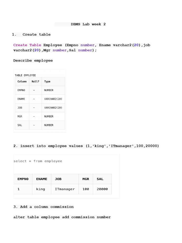 DBMS Lab Week 2 | PDF | Computers