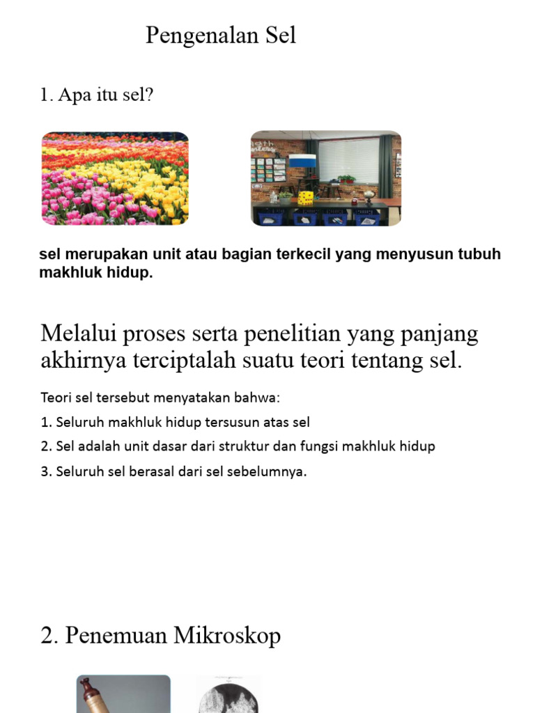 Pengenalan Sel Kelas 8 | PDF | Griya & Taman