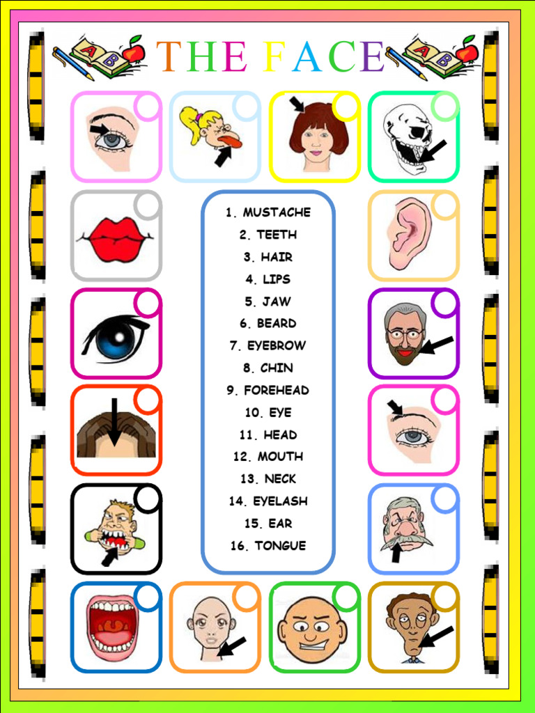 Face Fun Activities Games - 52861 | PDF