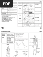 KS3 Reproductive System Activity | PDF | Reproductive System | Uterus
