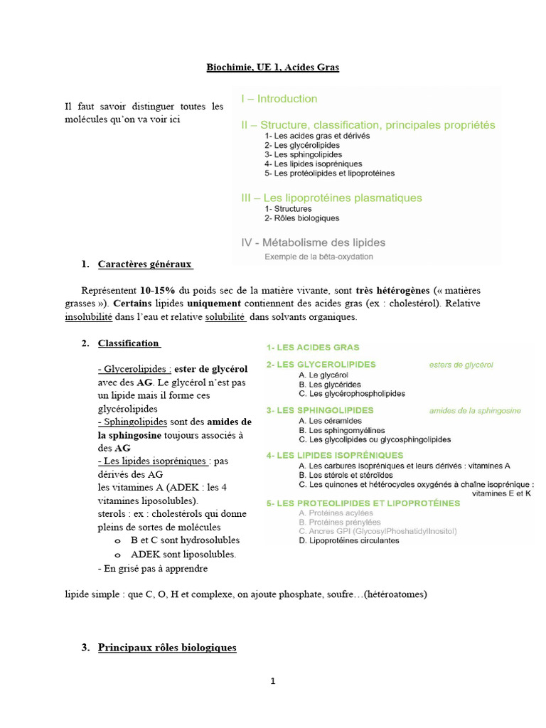 Classification et Rôles des Lipides | PDF | Lipide | Acide gras