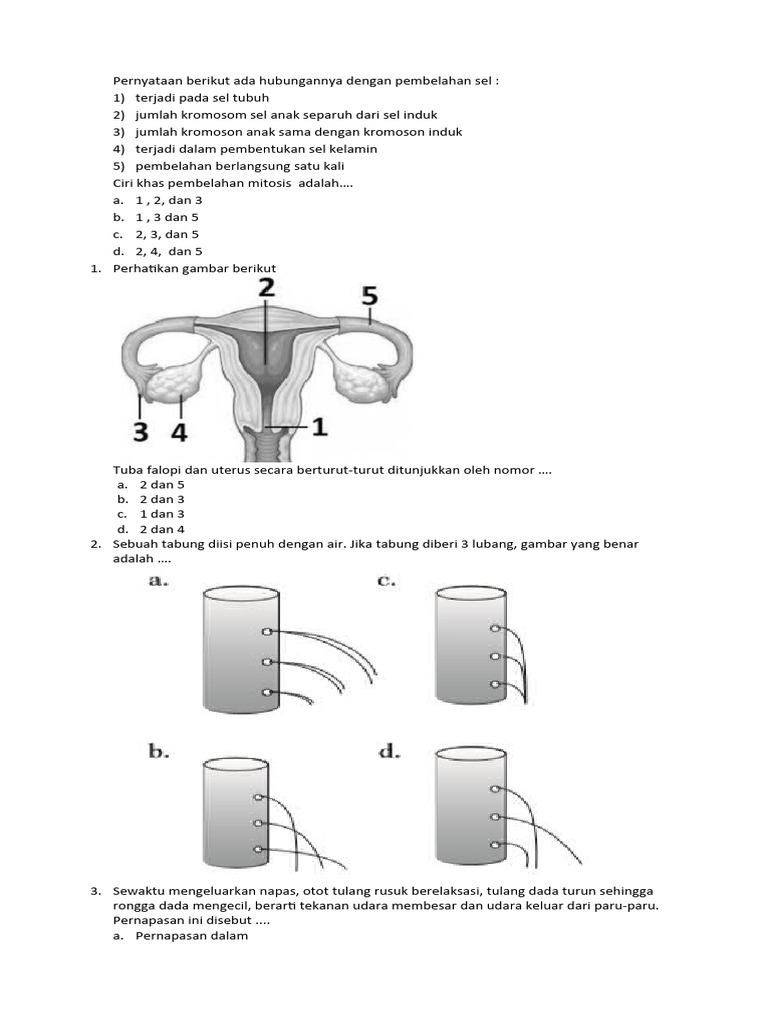 Soal PG Dan Urain Utk Latihan | PDF | Filsafat | Sains & Matematika