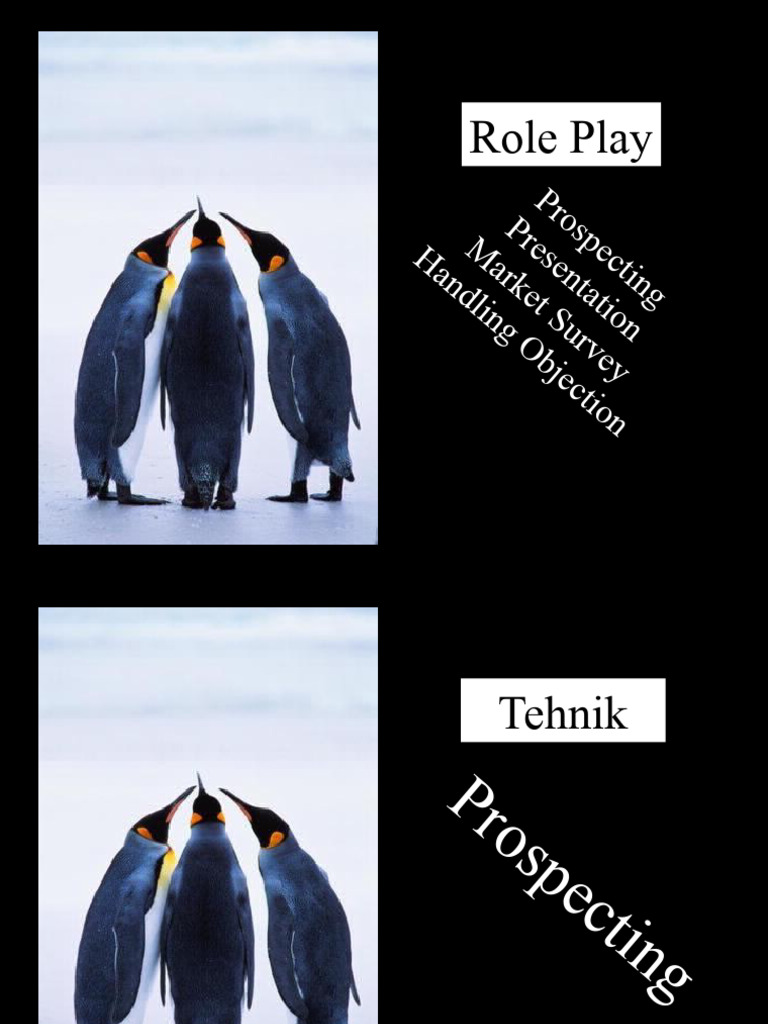 Role Play Prospecting, Presentation, Handling Objection | PDF