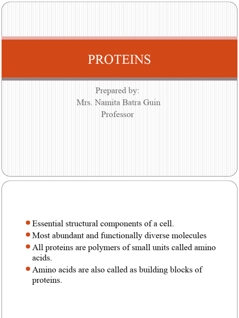 PROTEINS | PDF | Amino Acid | Proteins