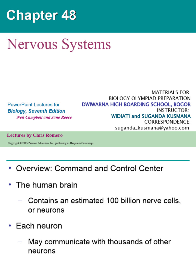 Chapter 48 Nervous Systems | PDF | Axon | Neuron