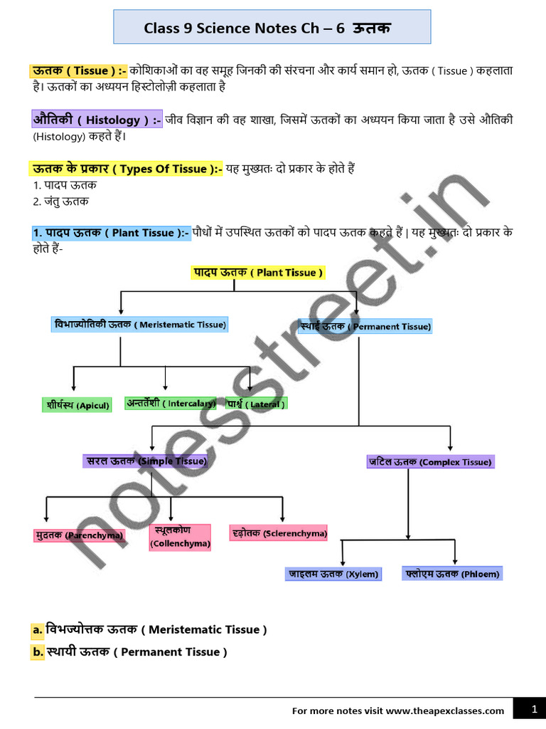 Class 9 Biology Chapter 2 Colr Watermark 1 Compressed | PDF