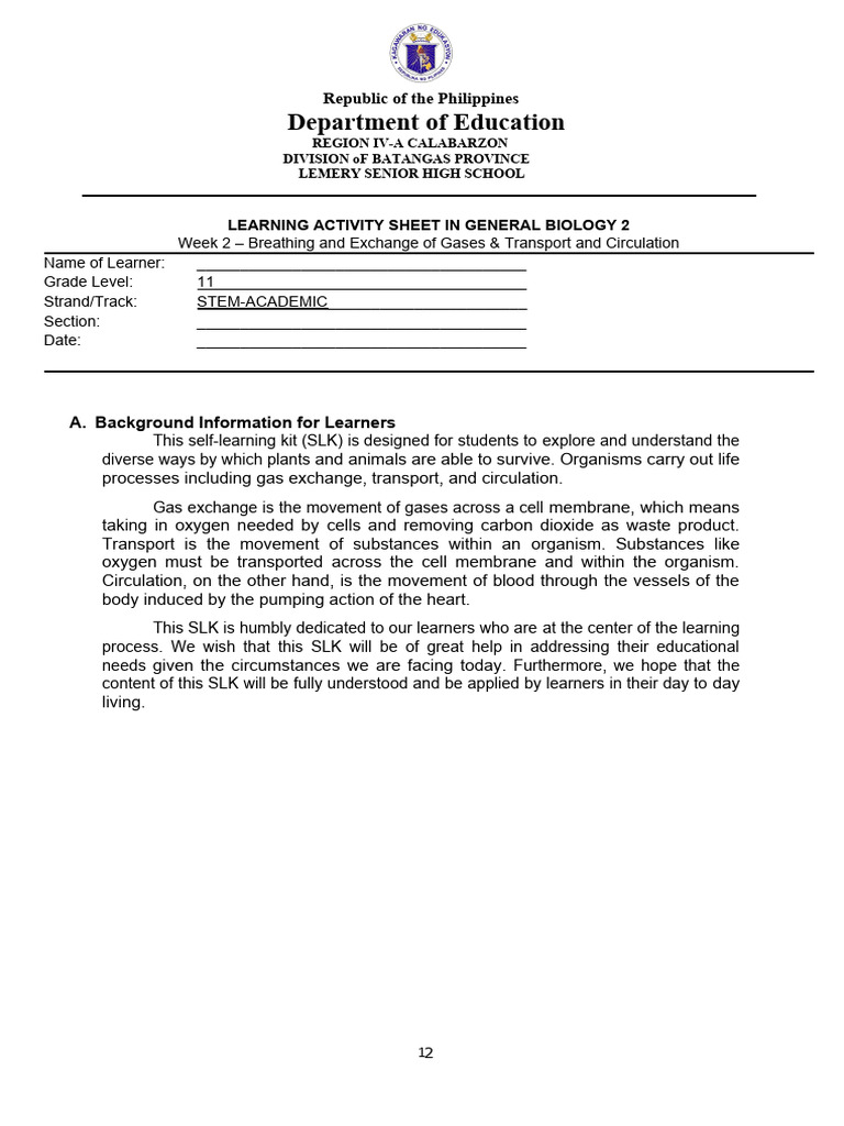 General Biology II Q4 Week 2 | PDF | Respiratory System | Artery