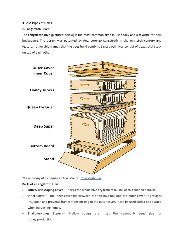 Beeh | PDF | Beehive | Beekeeping