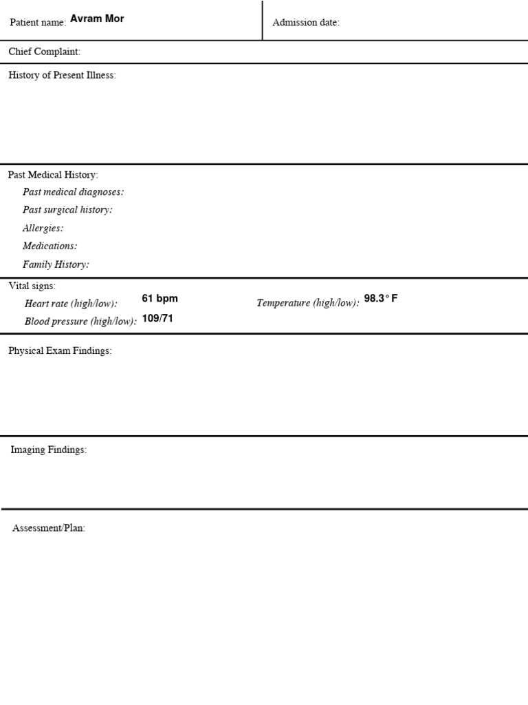 Patient Chart Template | PDF