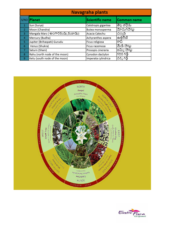 Navagraha and Rashi Plants Guide | PDF