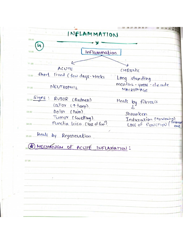 General Inflammation | PDF