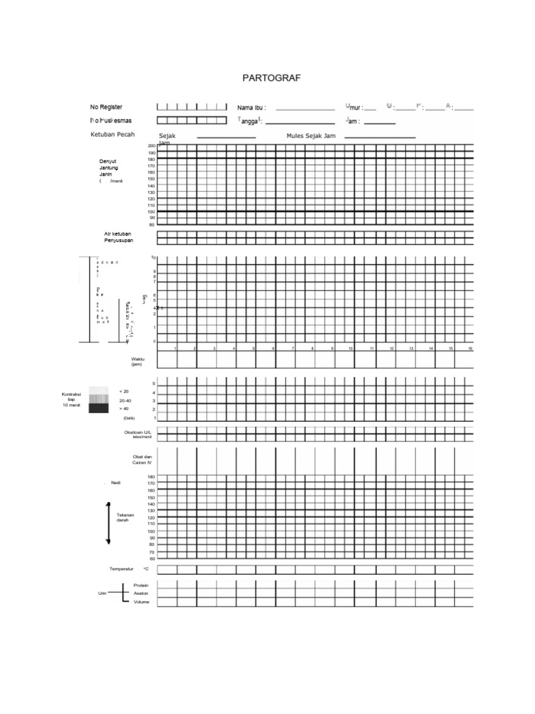 PDF Partograf Kosong | PDF