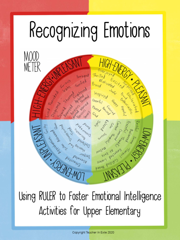 Recognizing Emotions Activities | PDF | Emotions | Mood (Psychology)