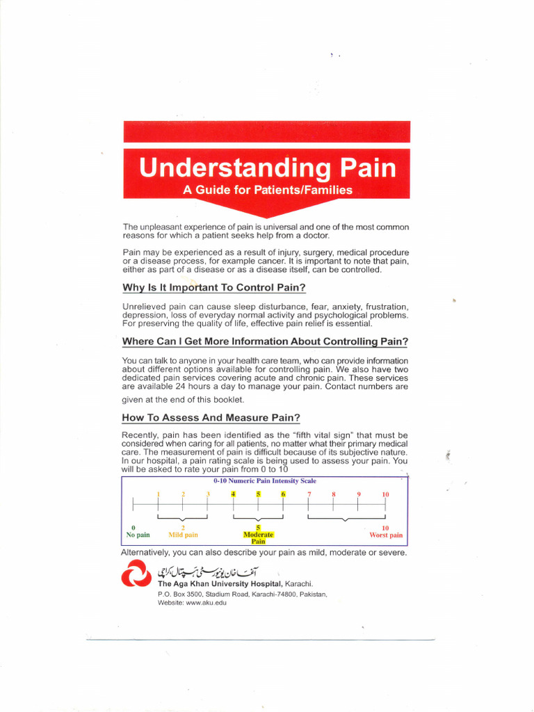 Understanding Pain | PDF