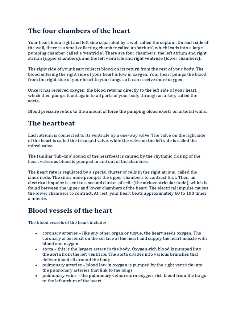The four chambers of the heart | PDF | Heart | Heart Valve