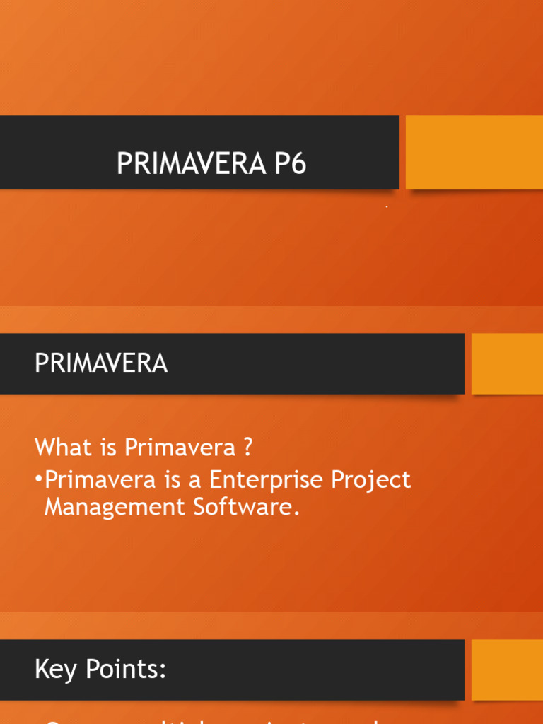 Primavera P6 | PDF | Computing | Information Technology