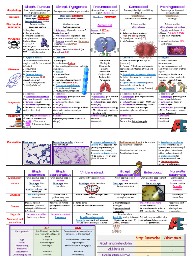 Bacteriology Comparisons (1) - COCCI | PDF | Medical Specialties | Microbiology