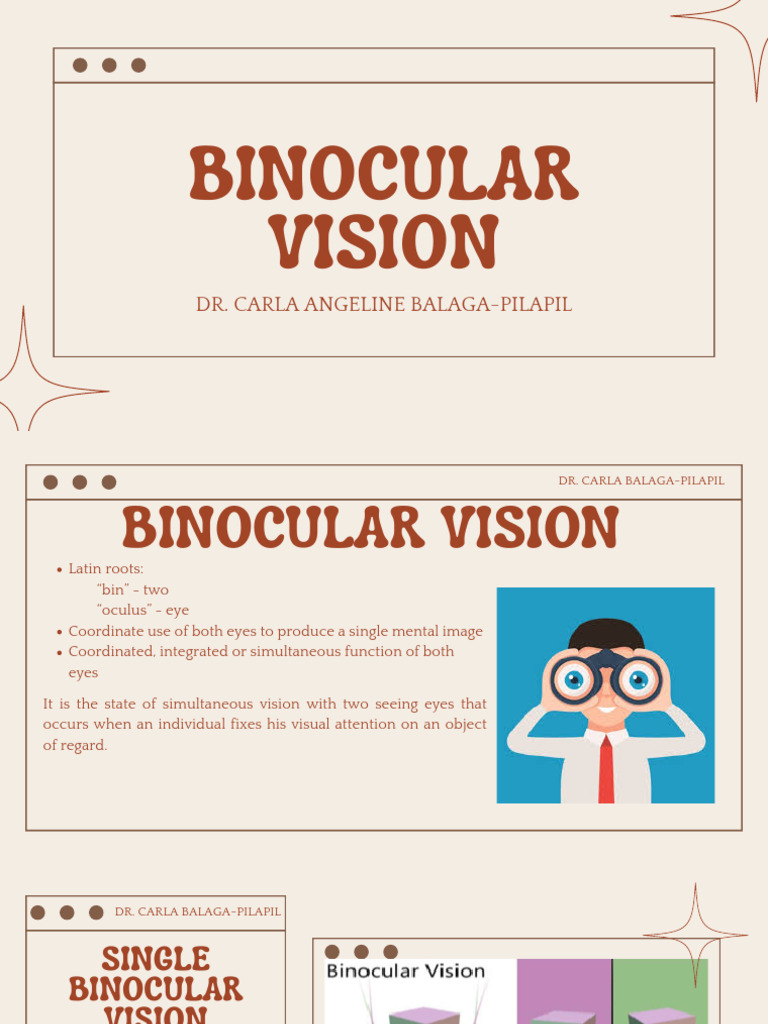 Binocular Vision | PDF | Visual Perception | Visual System