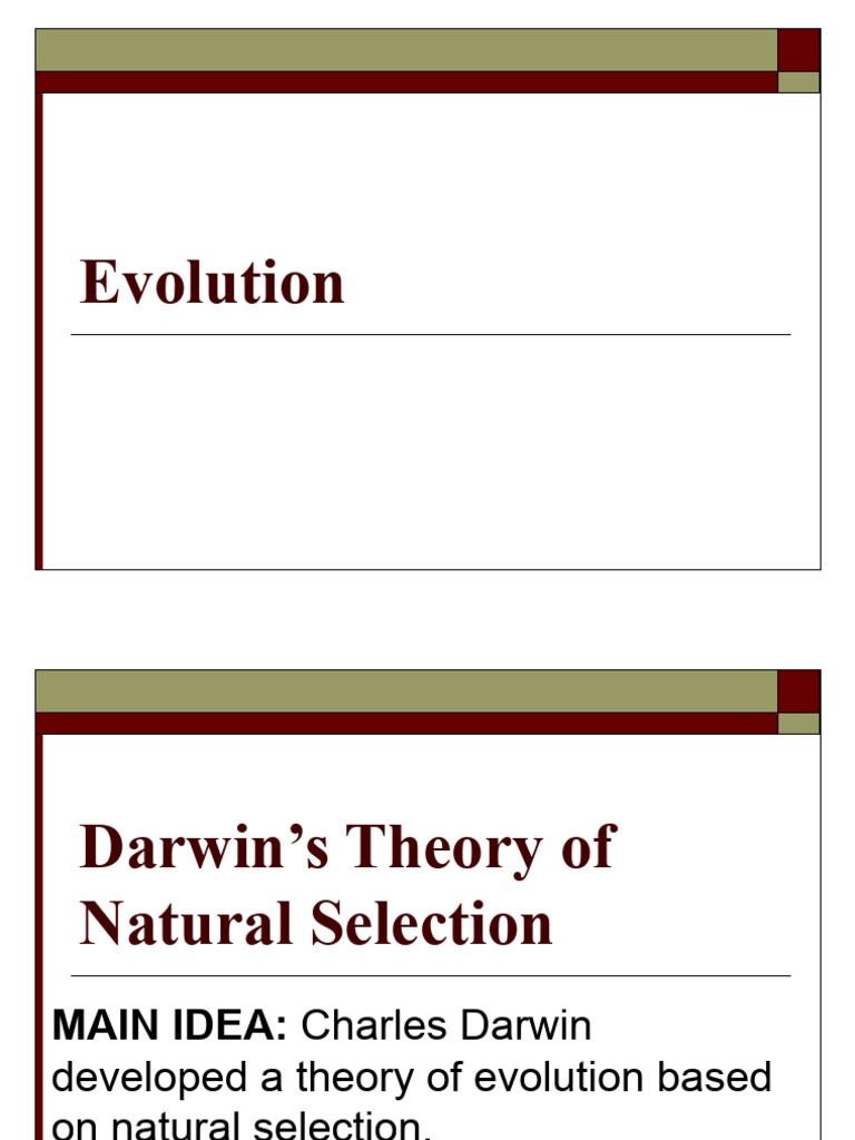Evolution | PDF | Evolution | Natural Selection