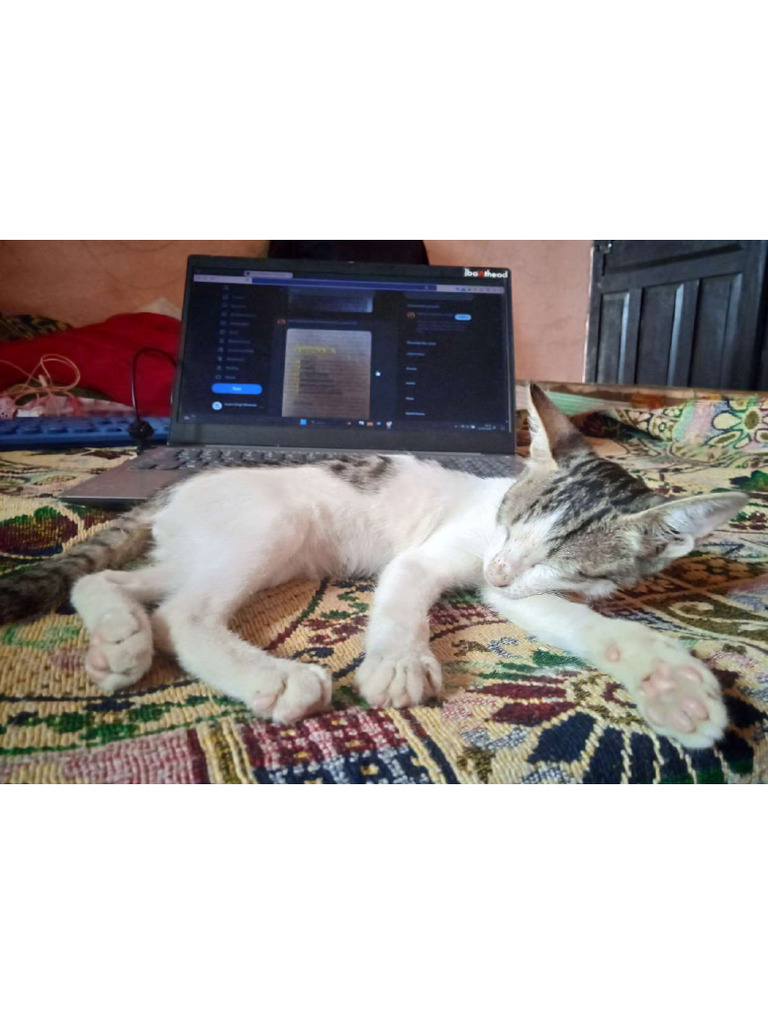 Nepali Cat Pres 3 | PDF