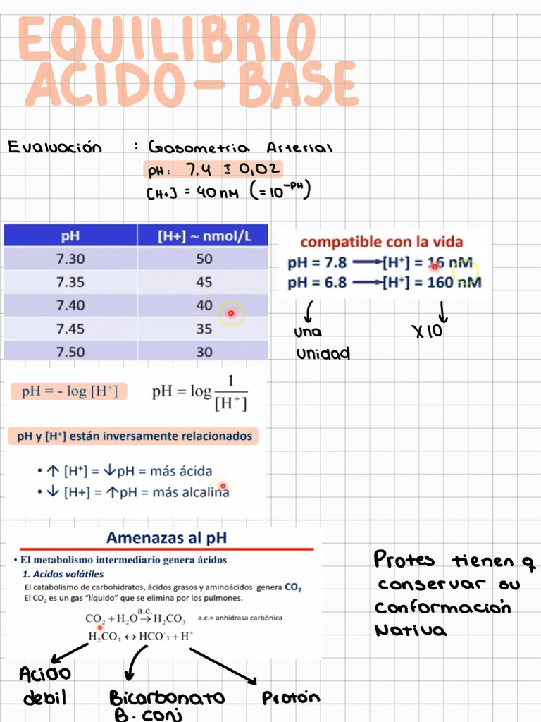Equilibrio Ã Cido Base - 240615 - 101036 | PDF