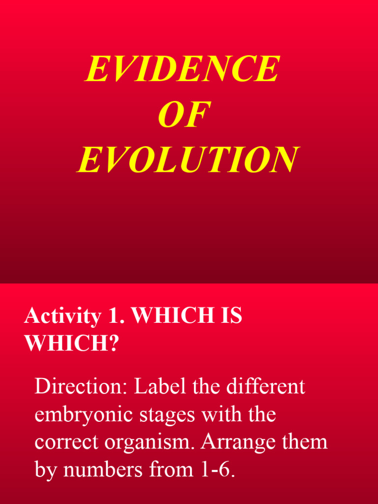 Evidence of Evolution | PDF | Nucleic Acid Sequence | Genetics