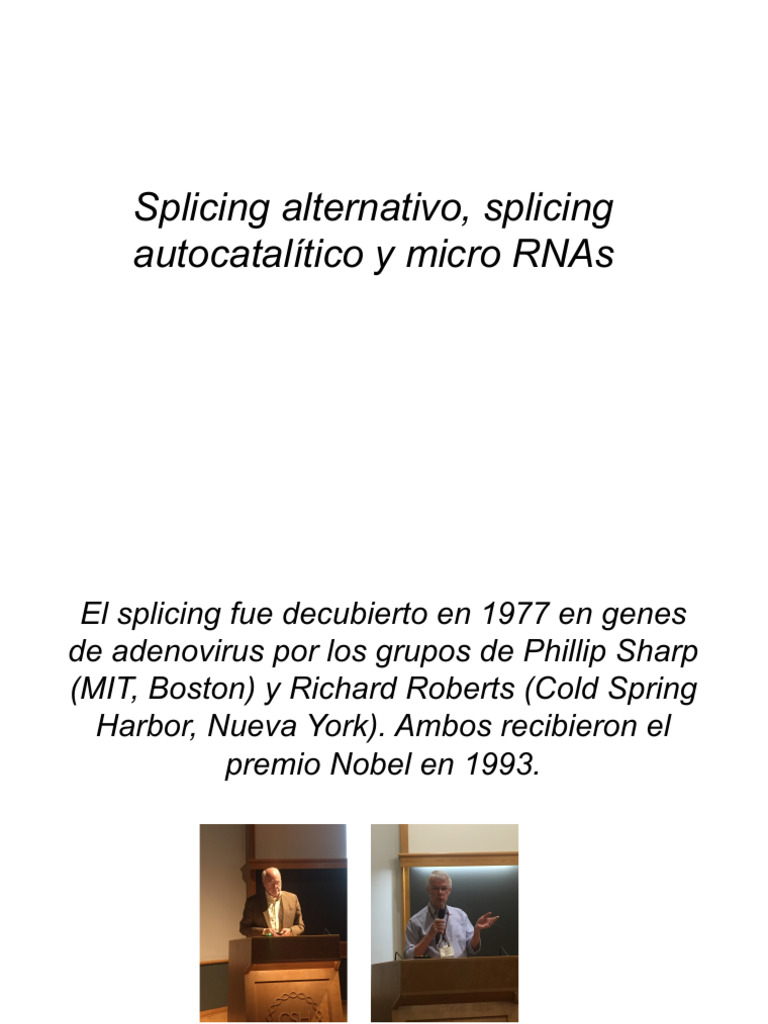 Splicing Alternativo | PDF | Alternative Splicing | Rna Splicing