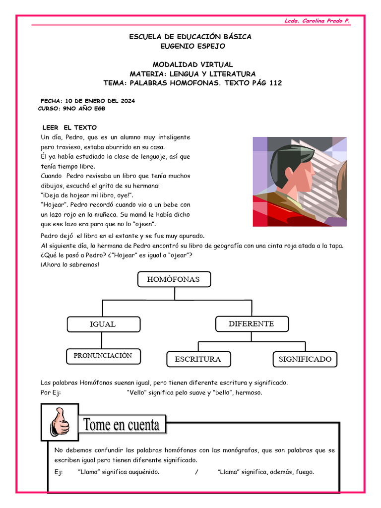 HOMOFONAS TALLER 9NO AÑO | PDF