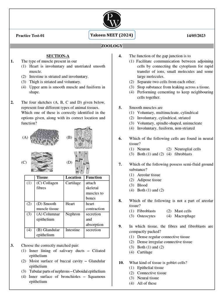 Practice Test 01: Zoology Test Paper II (Yakeen NEET 2024) | PDF ...