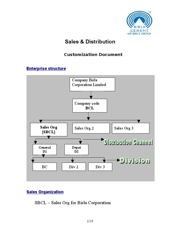 Birla Organization Structure | PDF | Discounts And Allowances | Retail