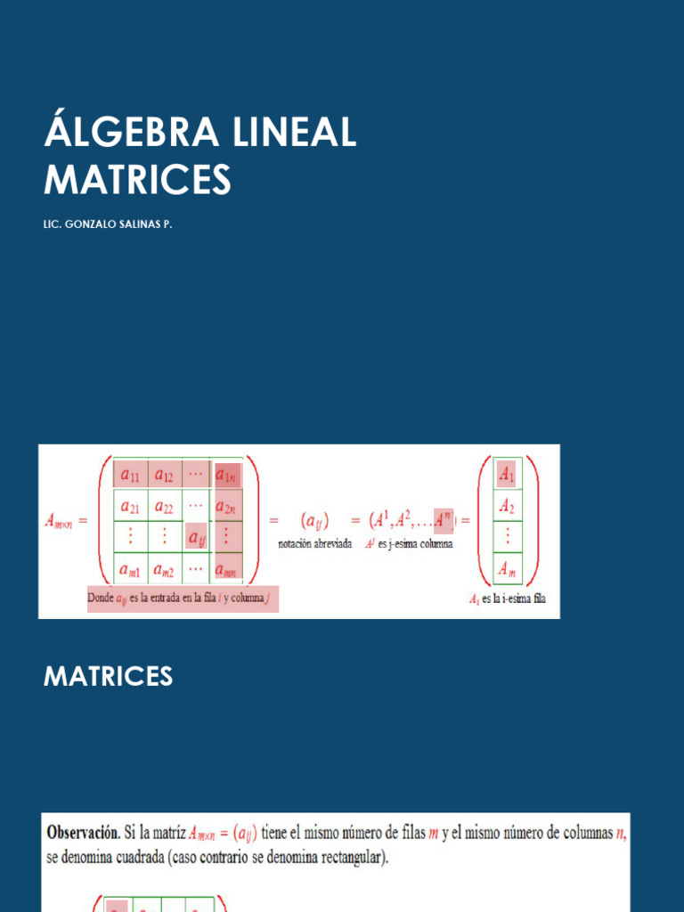 MATRICES | PDF | Matriz (Matemáticas) | Funciones y mapeos