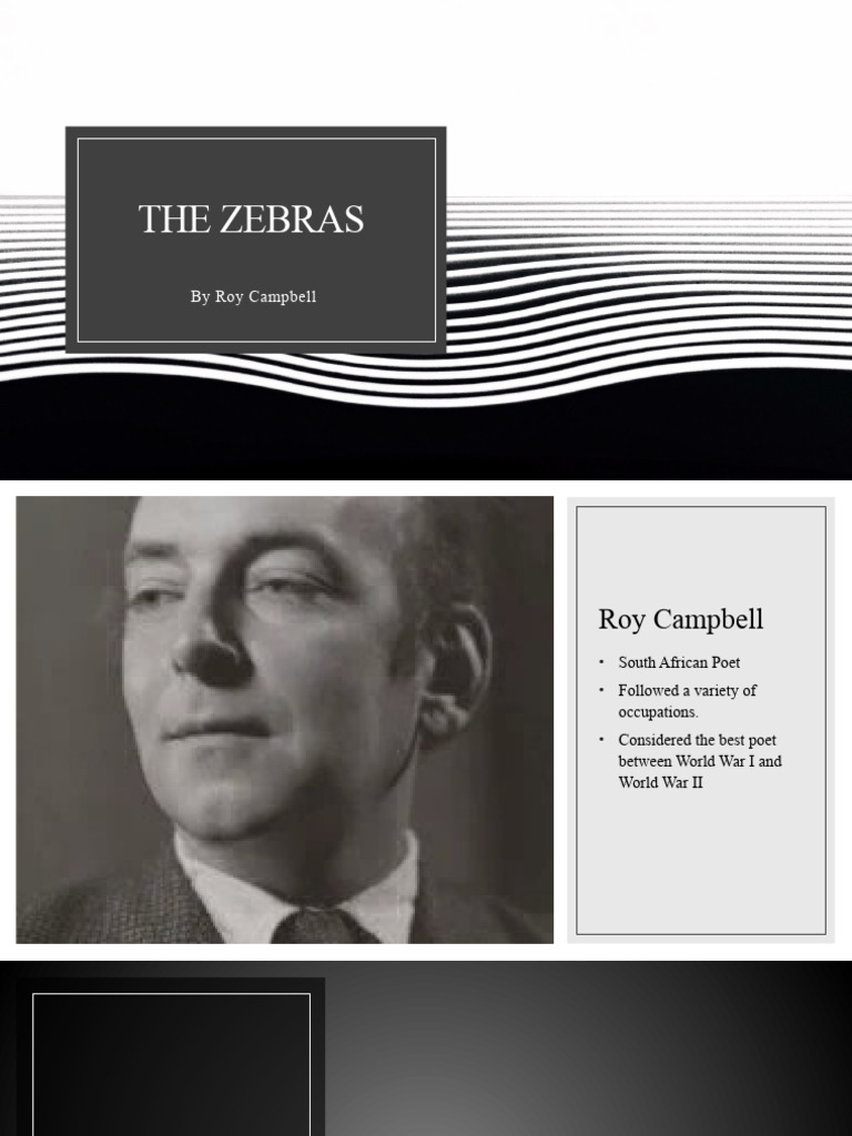 The Zebras Poem Analysis | PDF | Zebra